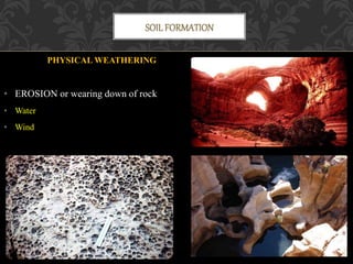 Soil formation, Soil forming factors, Soil Classification, Soil orders ...