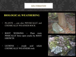 Soil formation, Soil forming factors, Soil Classification, Soil orders ...