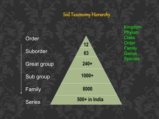 Soil formation, Soil forming factors, Soil Classification, Soil orders ...