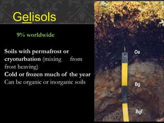 Soil formation, Soil forming factors, Soil Classification, Soil orders ...