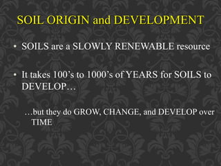 Soil formation, Soil forming factors, Soil Classification, Soil orders ...