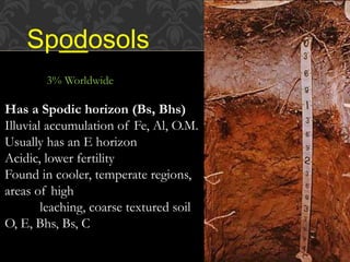 Soil formation, Soil forming factors, Soil Classification, Soil orders ...