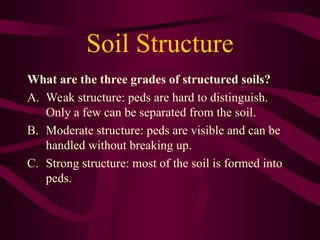 SoilFormationSoilFormationSoilFormationSoilFormation | PPT