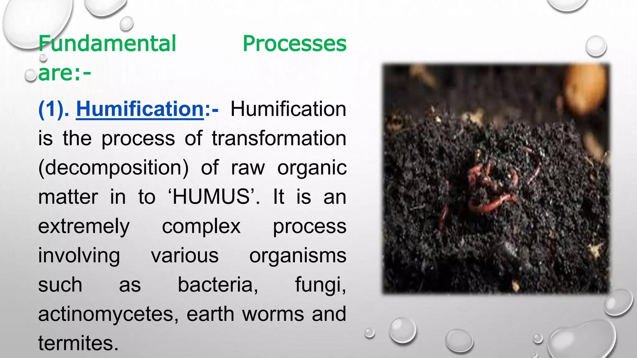 Soil formation - Factors and Processes | PPTX