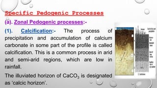 Soil formation - Factors and Processes | PPTX