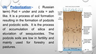 Soil formation - Factors and Processes | PPTX | Gardening | Home & Garden