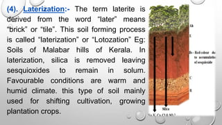 Soil formation - Factors and Processes | PPTX | Gardening | Home & Garden