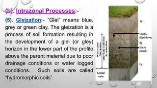 Soil formation - Factors and Processes | PPTX | Gardening | Home & Garden