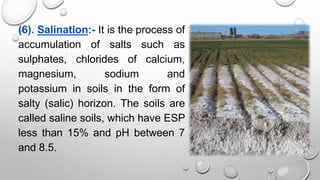 Soil formation - Factors and Processes | PPTX