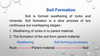 Soil formation - Factors and Processes | PPTX