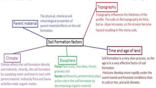 Soil Formation Factors And Processes Pptx