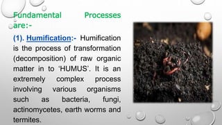 Soil formation - Factors and Processes | PPTX