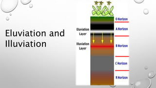 Soil formation - Factors and Processes | PPTX | Gardening | Home & Garden