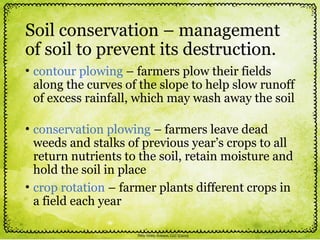 Comprehensive Overview of Soil Formation, Composition, and Conservation ...