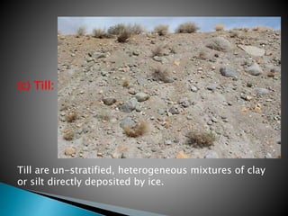 Soil Formation ppt.pptx