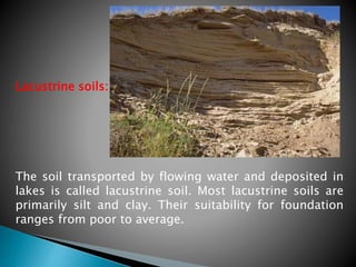Lacustrine Soil