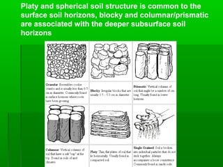 Saikat Nandy , Soil formation & structure | PPT