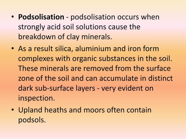 Soil Forming process.pptx | Gardening | Home & Garden