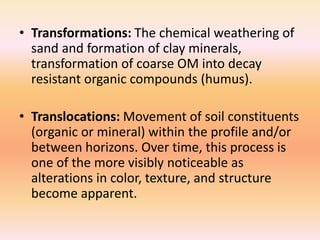 Soil Forming process.pptx