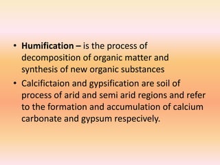Soil Forming process.pptx