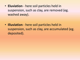 Soil Forming process.pptx