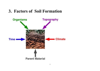 Soil Formation Steps