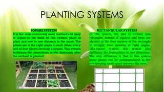 Fundamental of Agricultural Science "Soil for Planting Preparation" | PPTX