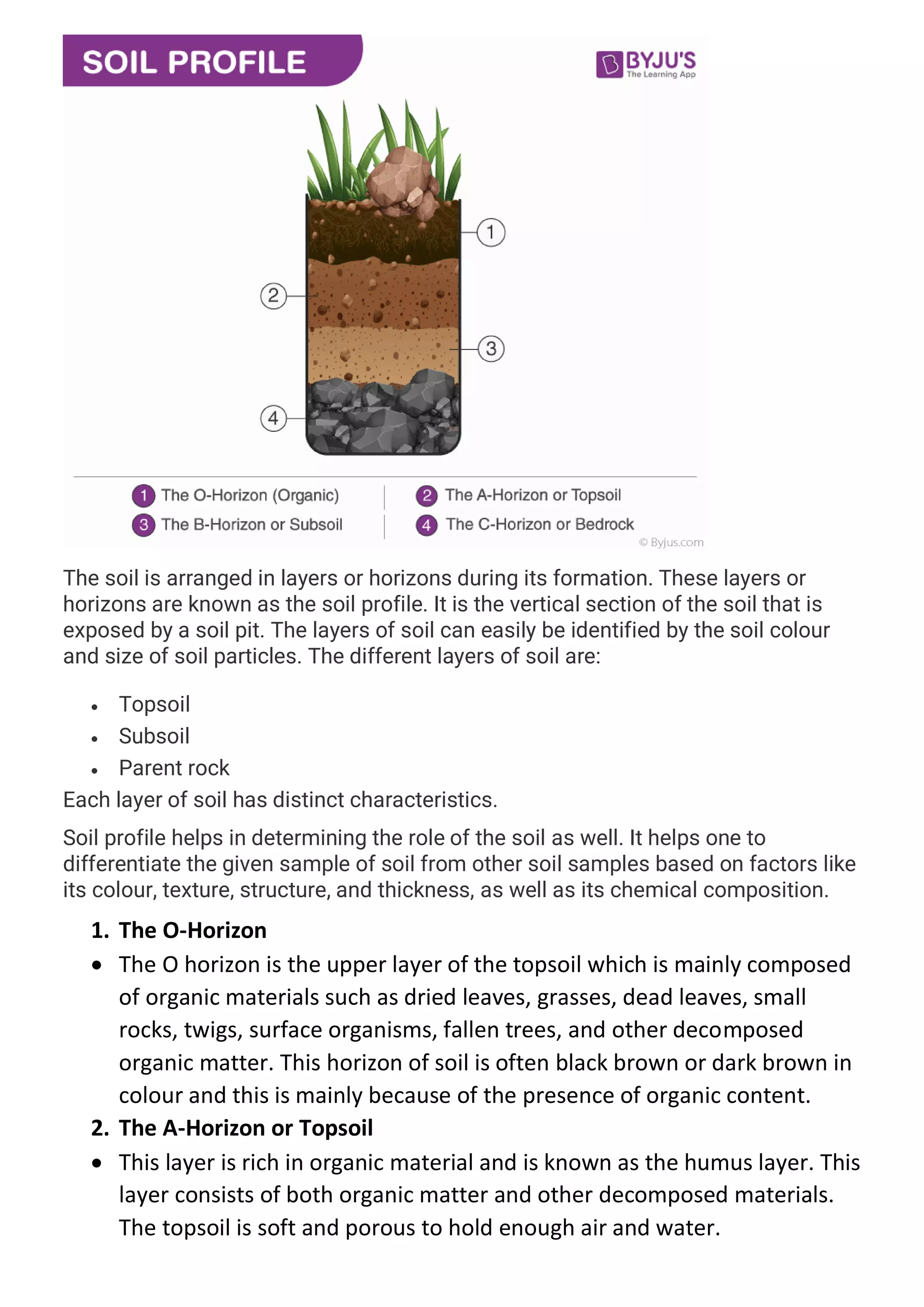 Soil geography notes.pdf
