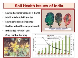Government soil health card scheme | PPTX