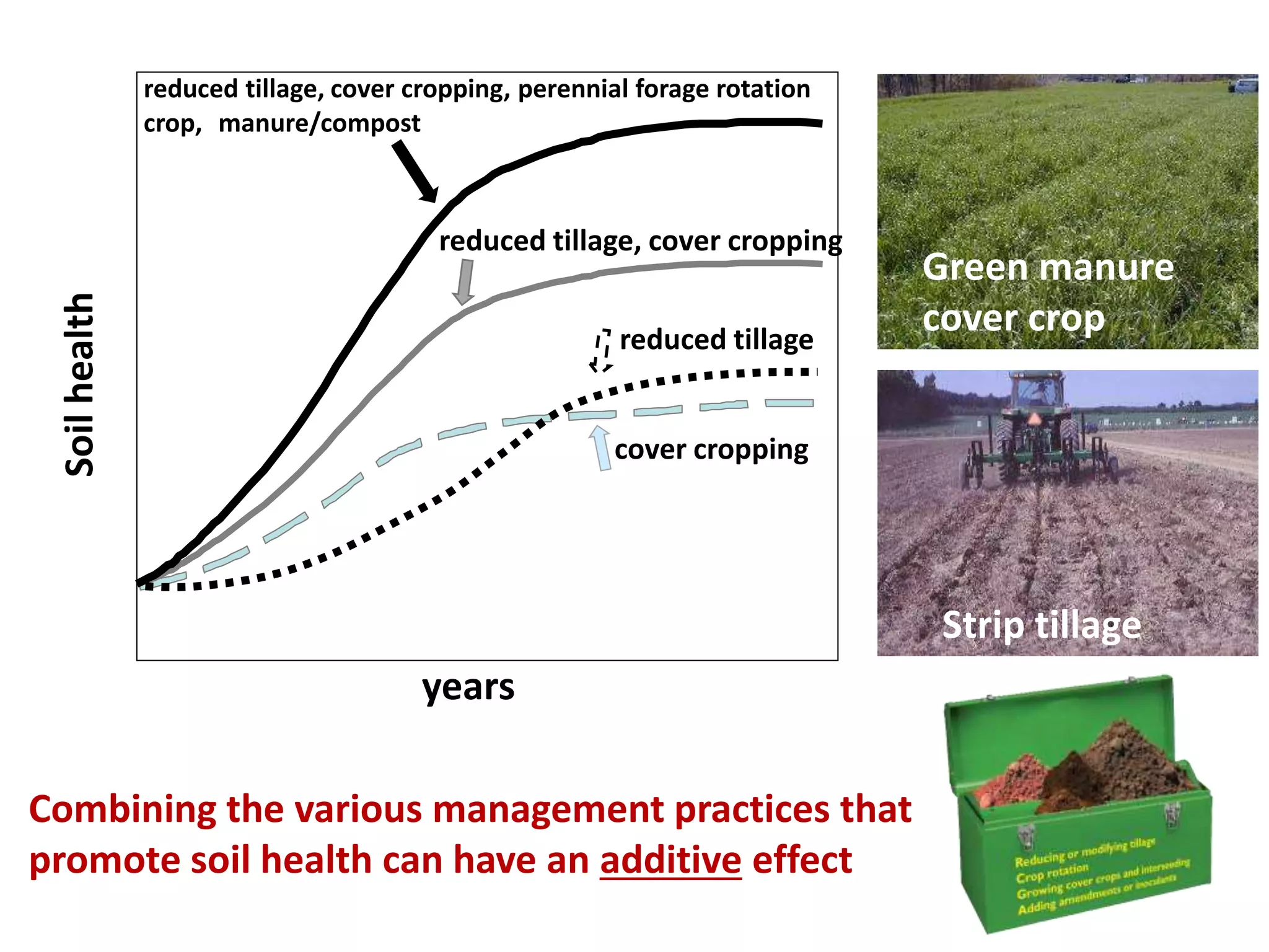 Soil health and maize yield analysis | PPTX | Agriculture | Industries