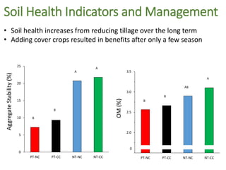 Soil health and maize yield analysis | PPTX | Agriculture | Industries