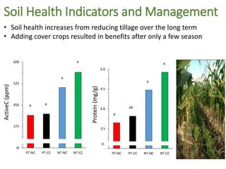 Soil health and maize yield analysis | PPTX