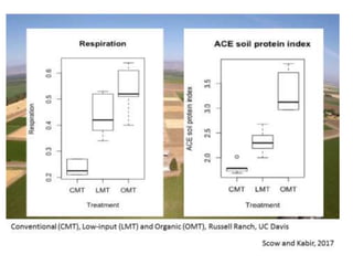 Soil health and maize yield analysis | PPTX | Agriculture | Industries