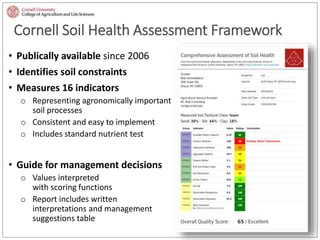 Soil health and maize yield analysis | PPTX | Agriculture | Industries