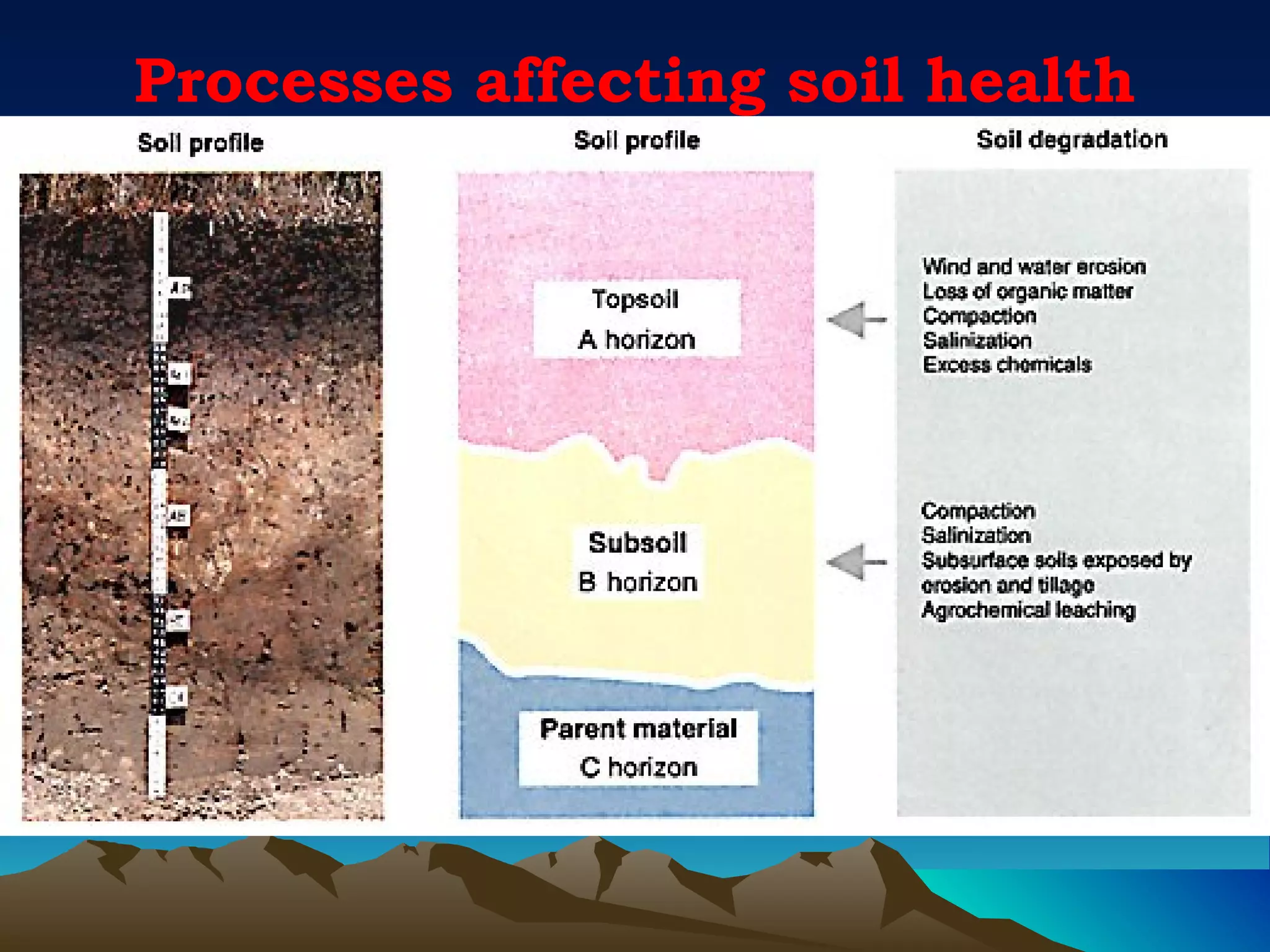 Soil health an overview | PPT