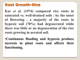 Soil health concerns under rice intensification | PPTX