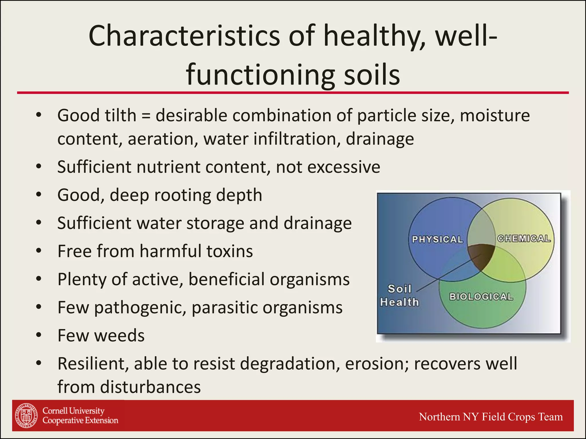 Soil health overview | PDF