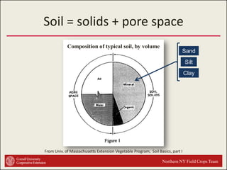 Soil health overview | PPT