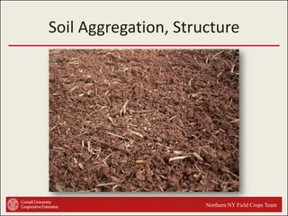 Soil health overview | PPT