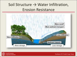 Soil health overview | PPT