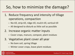 Soil health overview | PDF