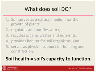 Soil health overview | PPT