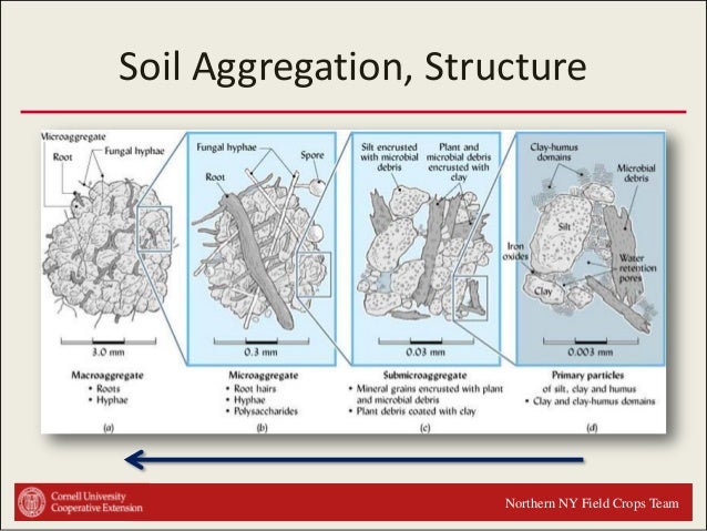 Soil health overview