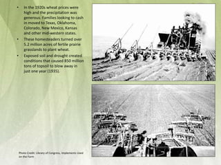 Unlock the Secrets in the Soil | PPTX