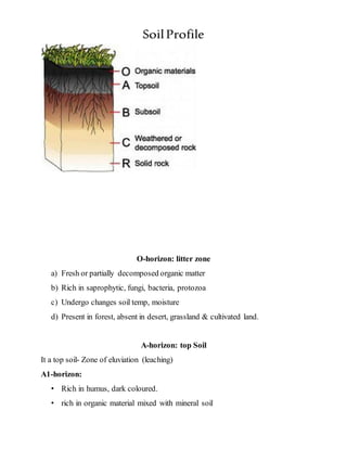 Soil Horizons Worksheet
