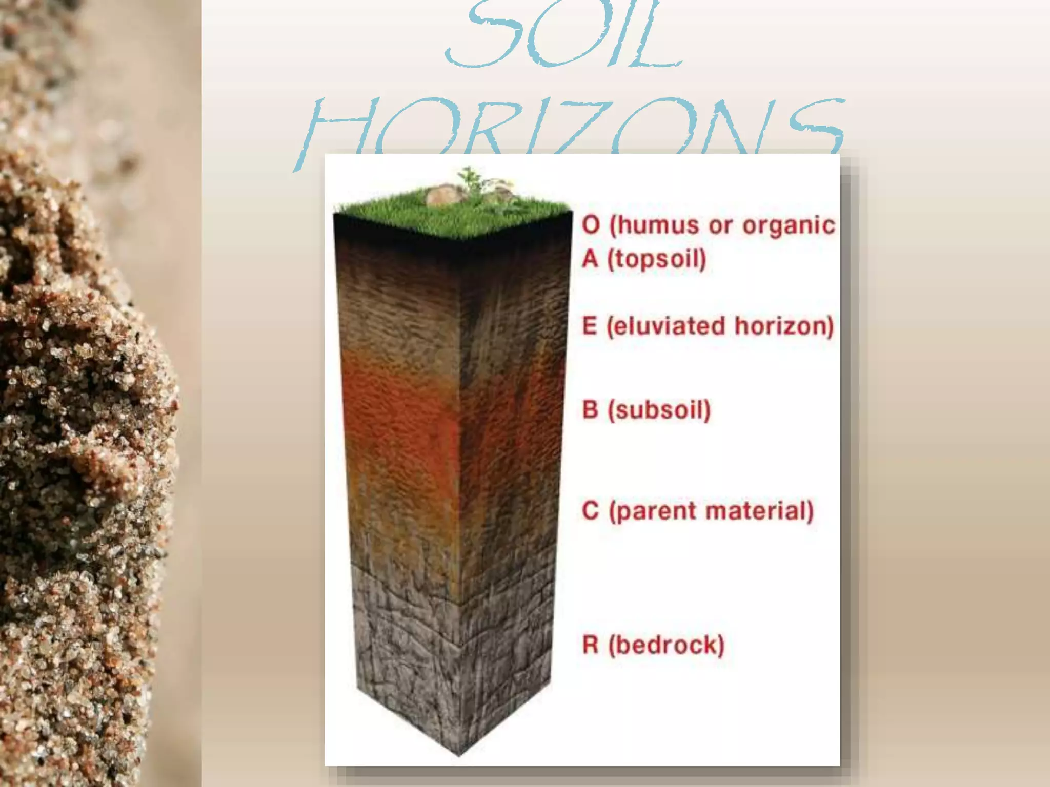 Soil horizons and soil sampling methods | PPTX