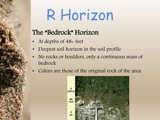 Soil horizons and soil sampling methods | PPTX