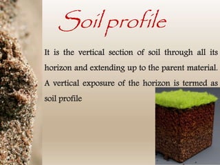 Soil horizons and soil sampling methods | PPTX