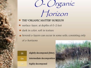 Soil horizons and soil sampling methods | PPTX