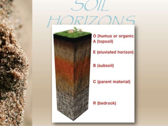 Soil horizons and soil sampling methods